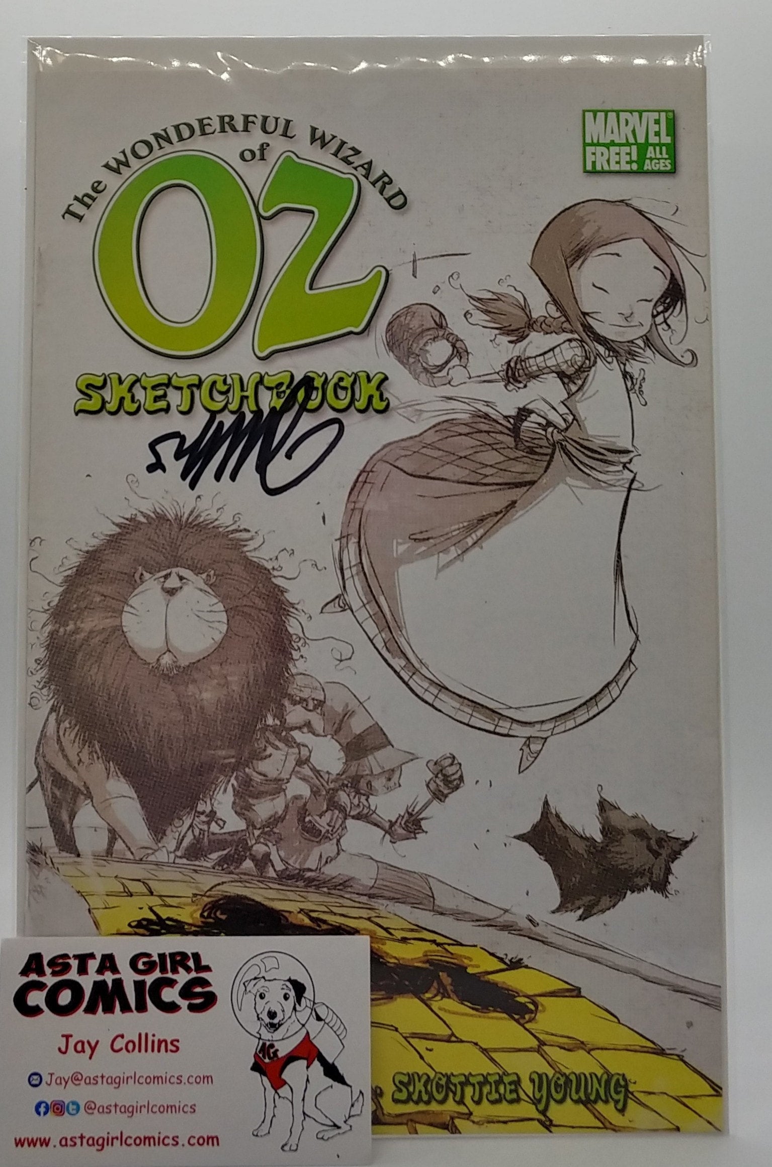 The Wonderful Wizard Of Oz Comics